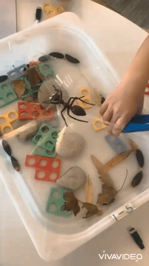 Green Stone – British International School